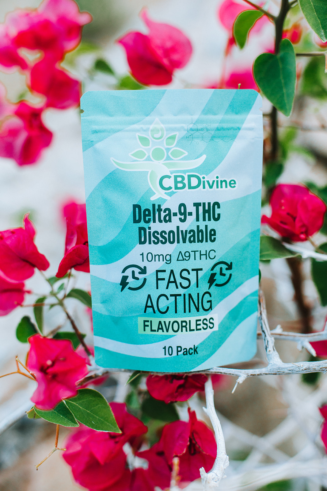 CBD Wellness Products Online | Delta 8 Shop in Montgomery, AL