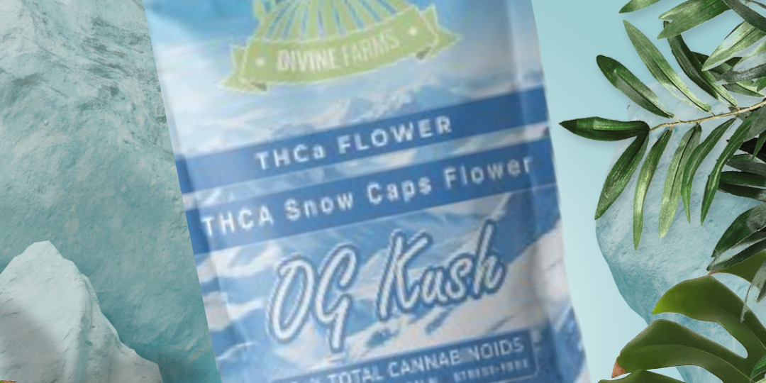 Exploring the Power of OG Kush THCA Snowcaps | CBDivine