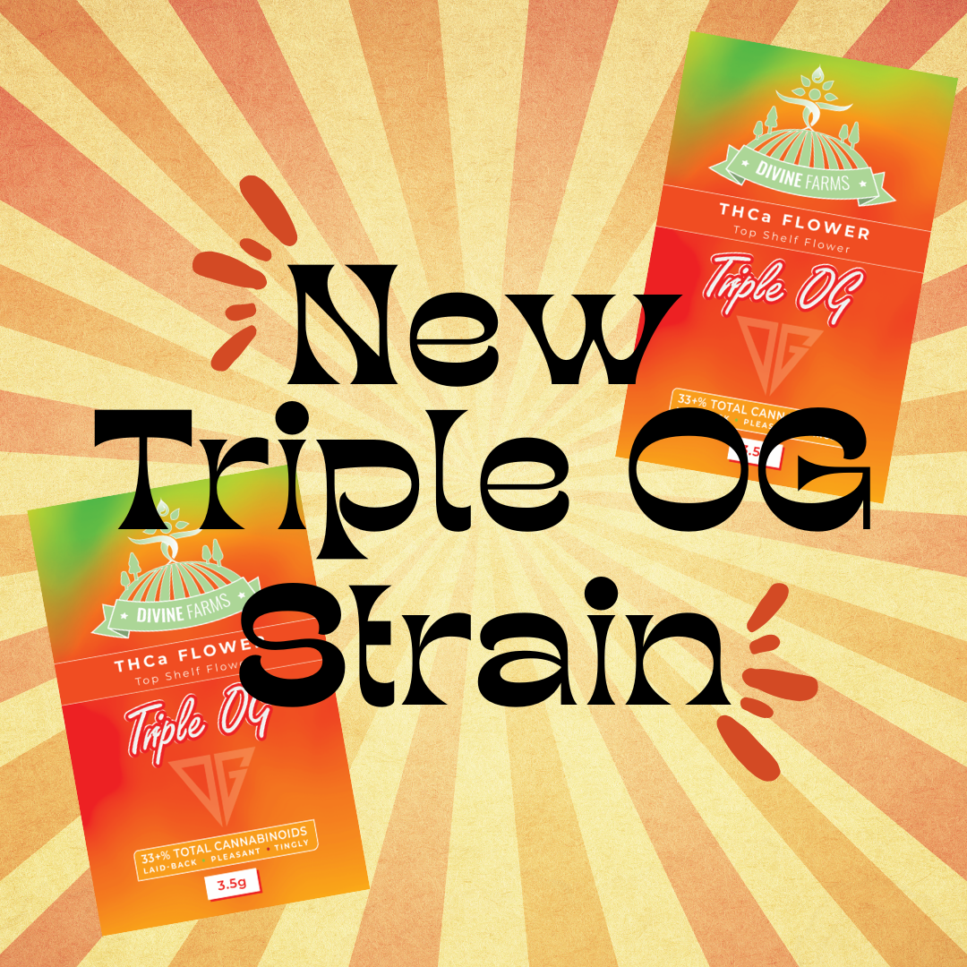 Triple OG Strain: Potency, Flavor & Effects | CBDivine